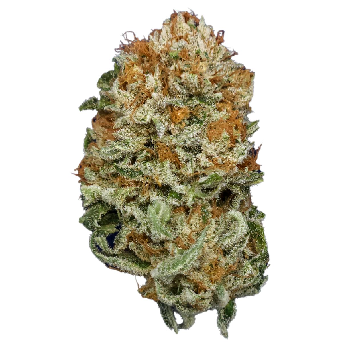 Angry Ginger 14g Flower | 1/2oz Flower | Root & Bloom | Boston, MA