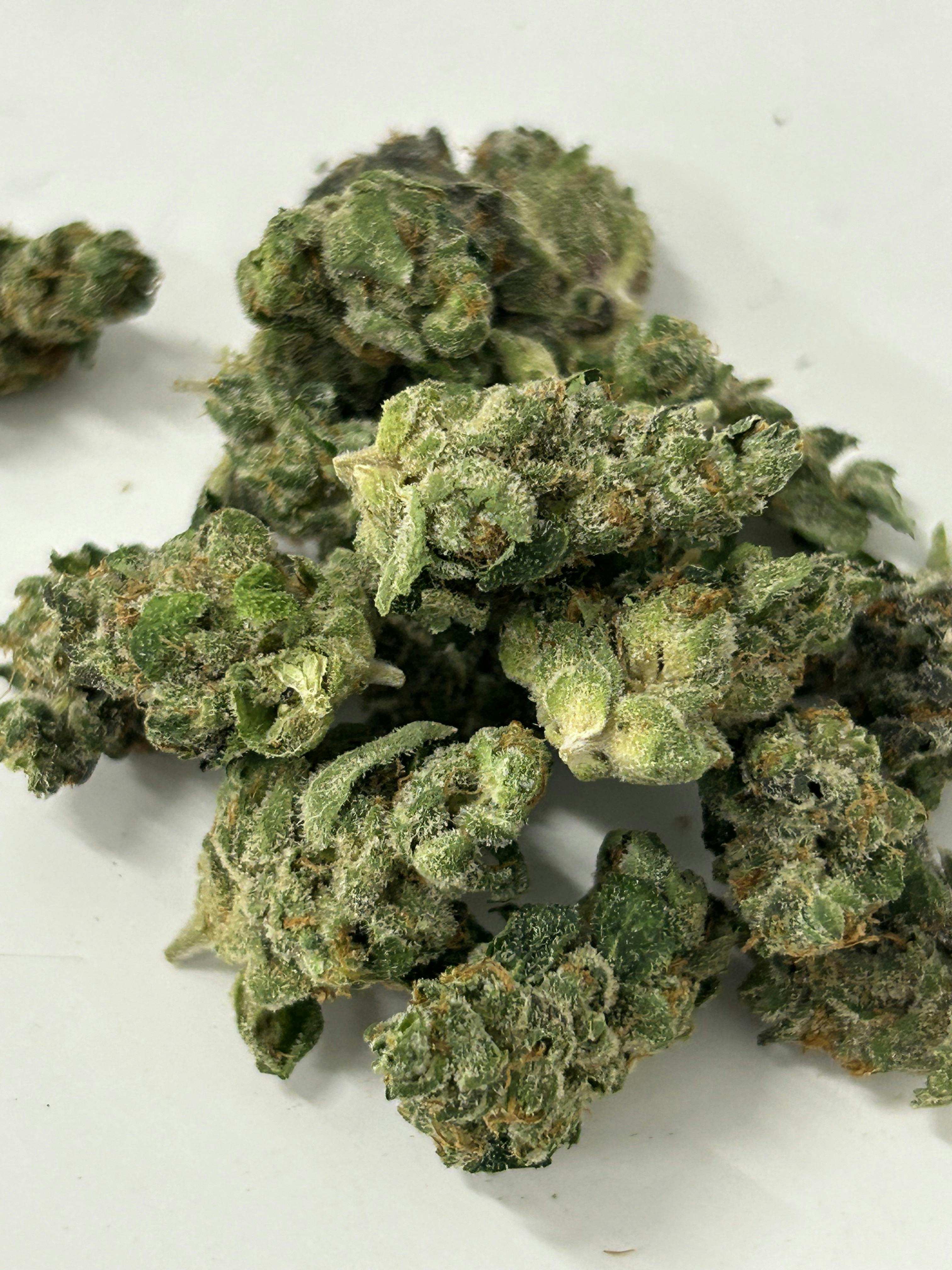 Shop Cannabis Flower in Paw Paw, MI | Bloom City