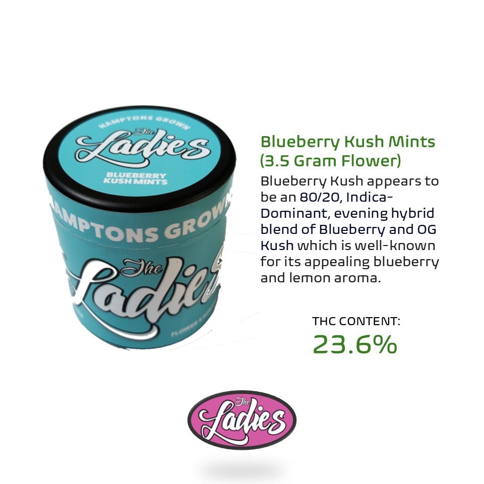 Blueberry Kush Mints | Flower | 3.5g - The Ladies | Treehouse Cannabis