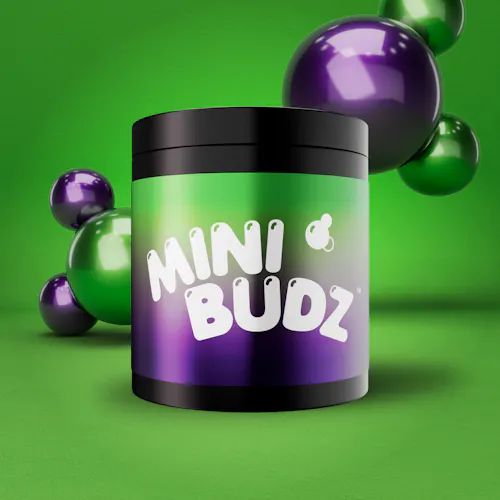 Popcorn Flower | MiniBudz | Grease Monkey - Mission Dispensaries