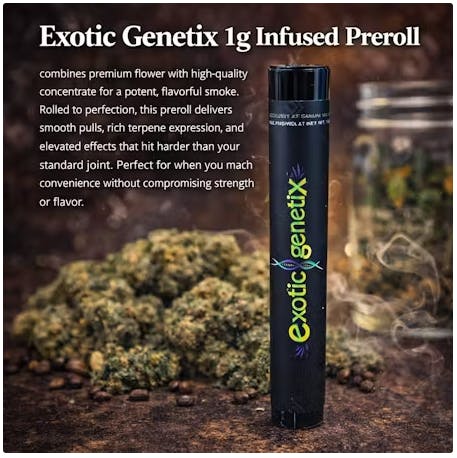 Exotic Genetix - Gelato Mint Infused Pr