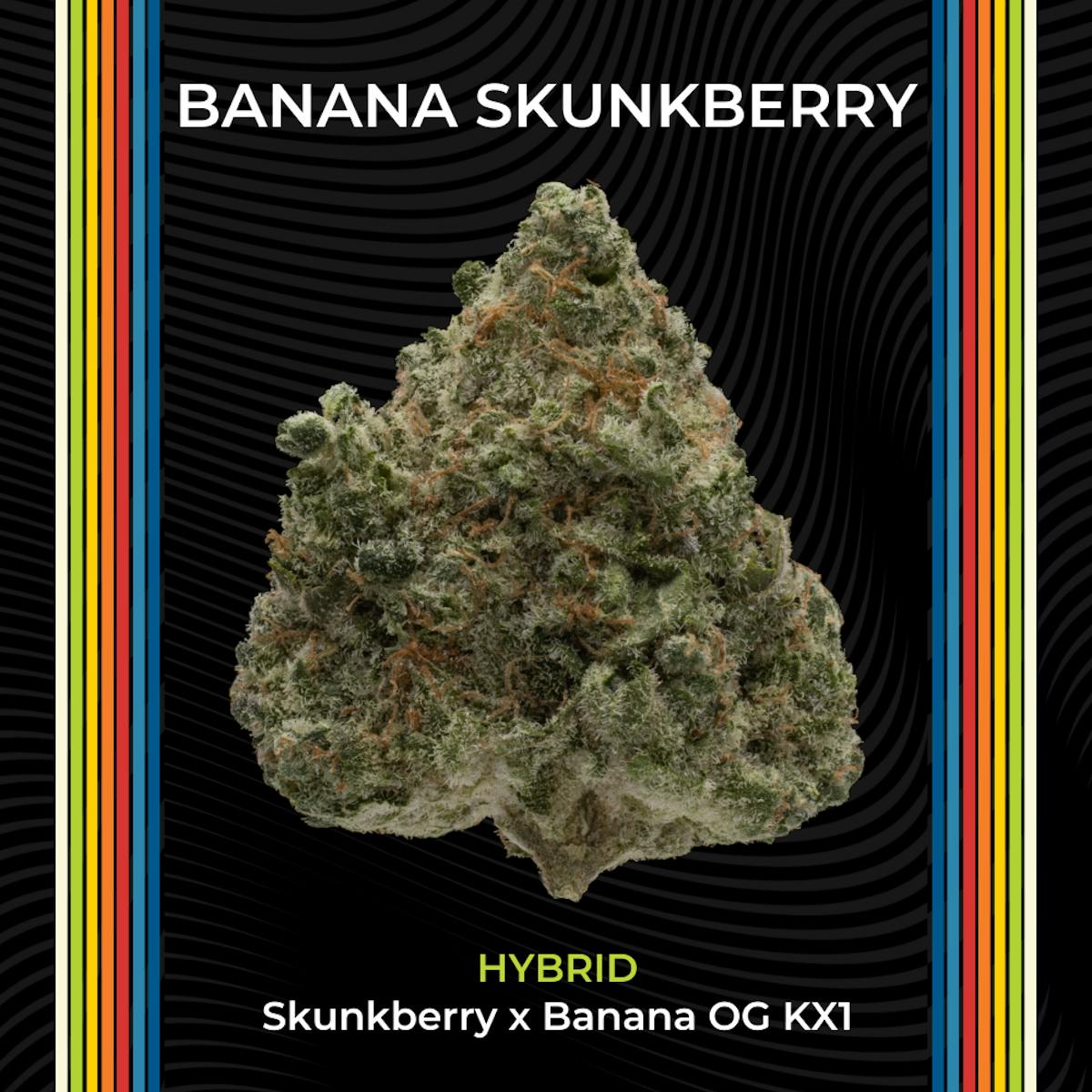 Banana Skunkberry 14.15g Flower | CERTIFIED