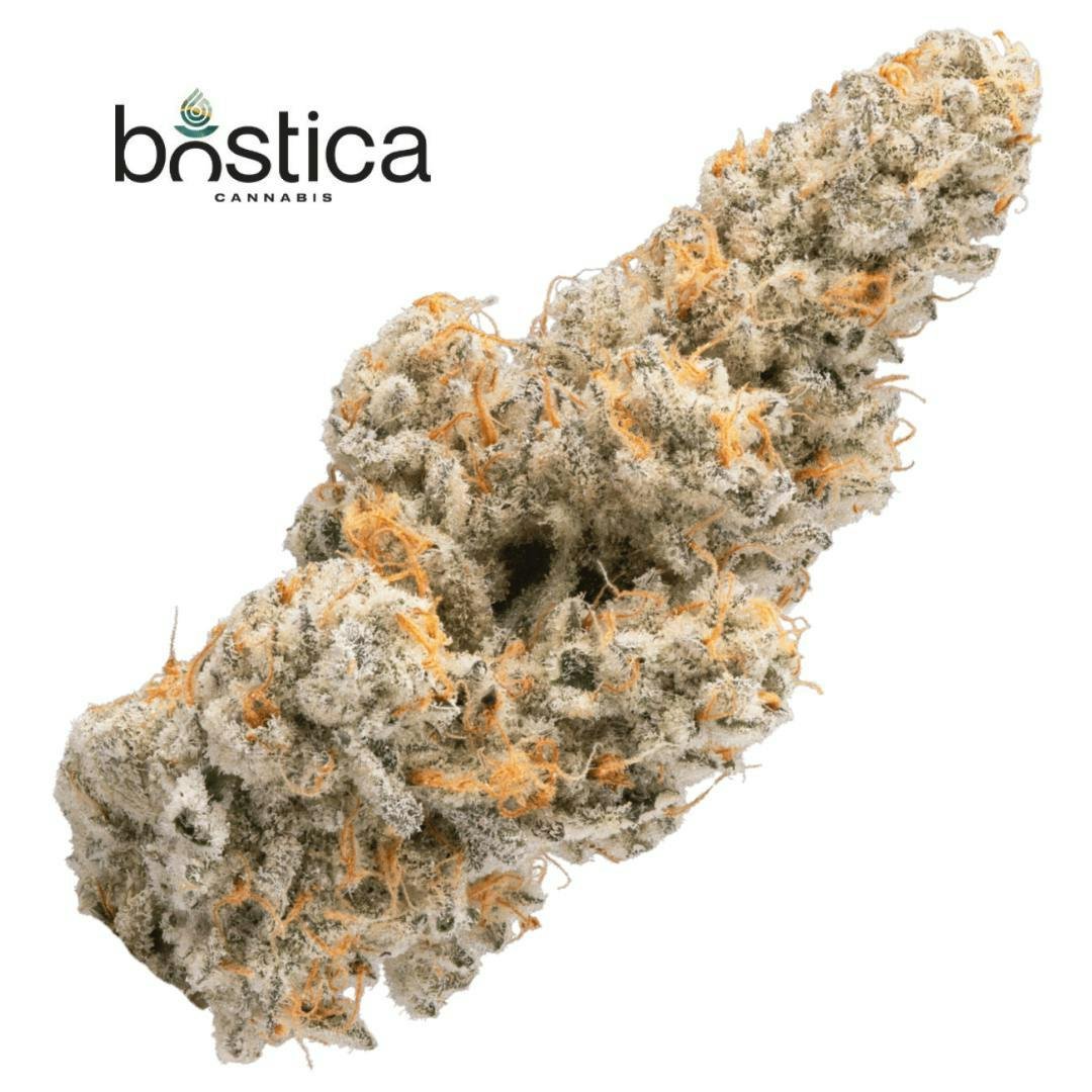 Purple Milk - 0.5g (2-Pack) - Pre-Rolls | Bloom Brothers