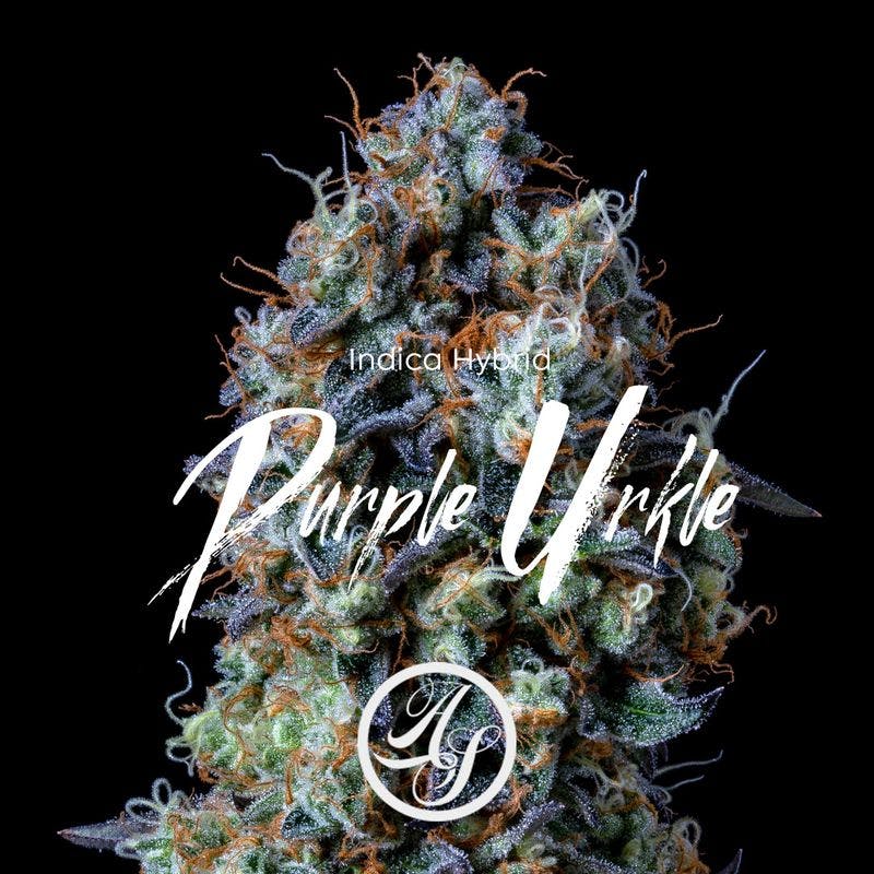 Shop Alternative Solutions Alt Sol | Purple Urkle | Pre-Packaged Flower ...