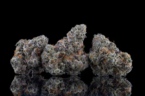 Shop Noble Valley | Flower | JOMO 19 | 7g In New Jersey | HASHERY