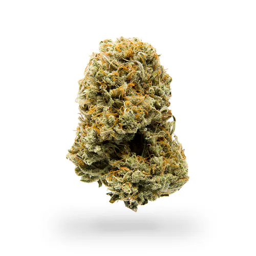 Citrus Slice Flower | GrowHealthy