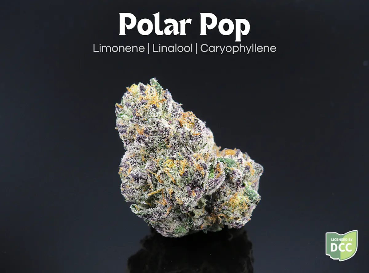Polar Pop 2.83g Flower | Farkas Farms
