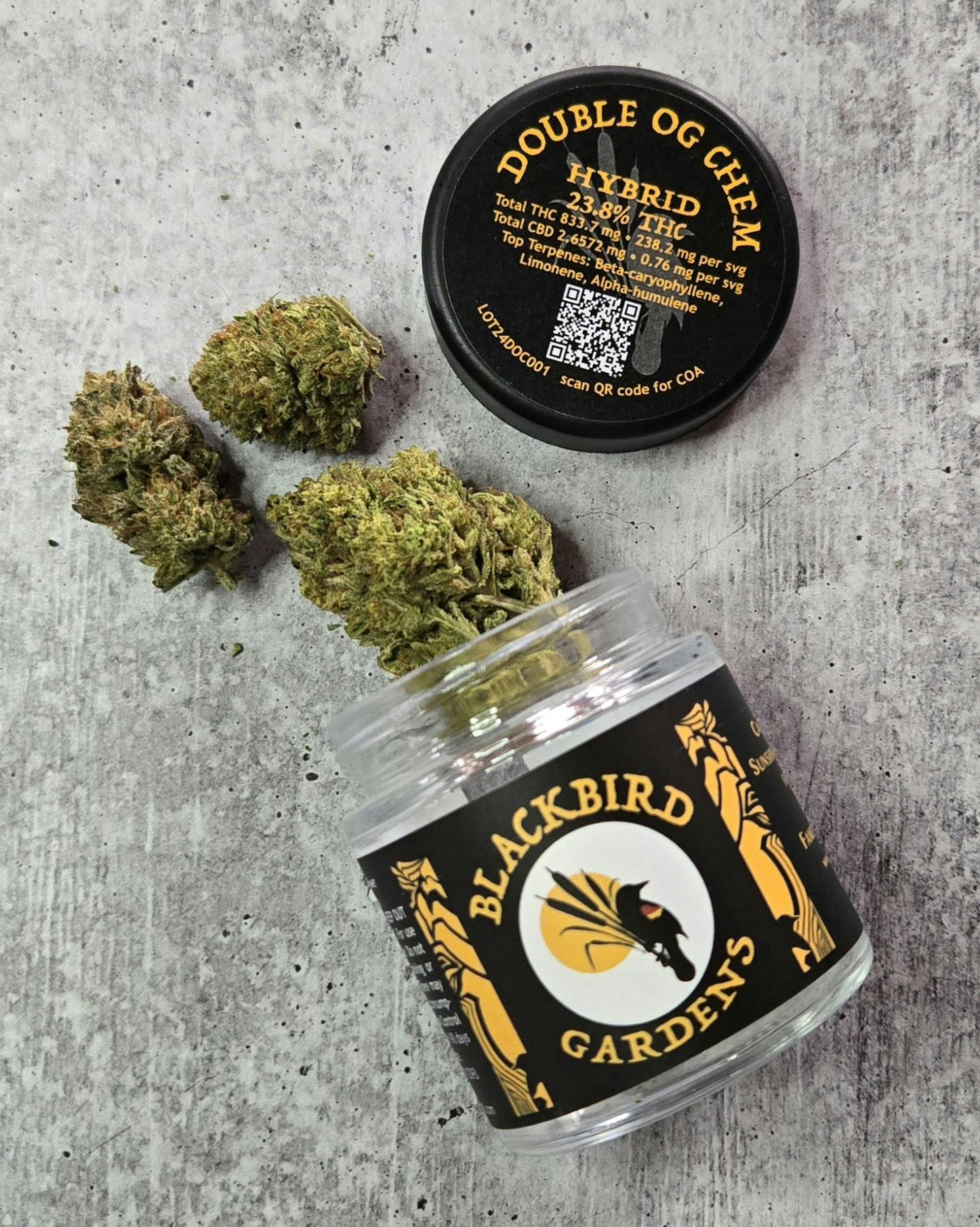 Double OG Chem | Flower | 3.5g - Blackbird Gardens | Treehouse Cannabis