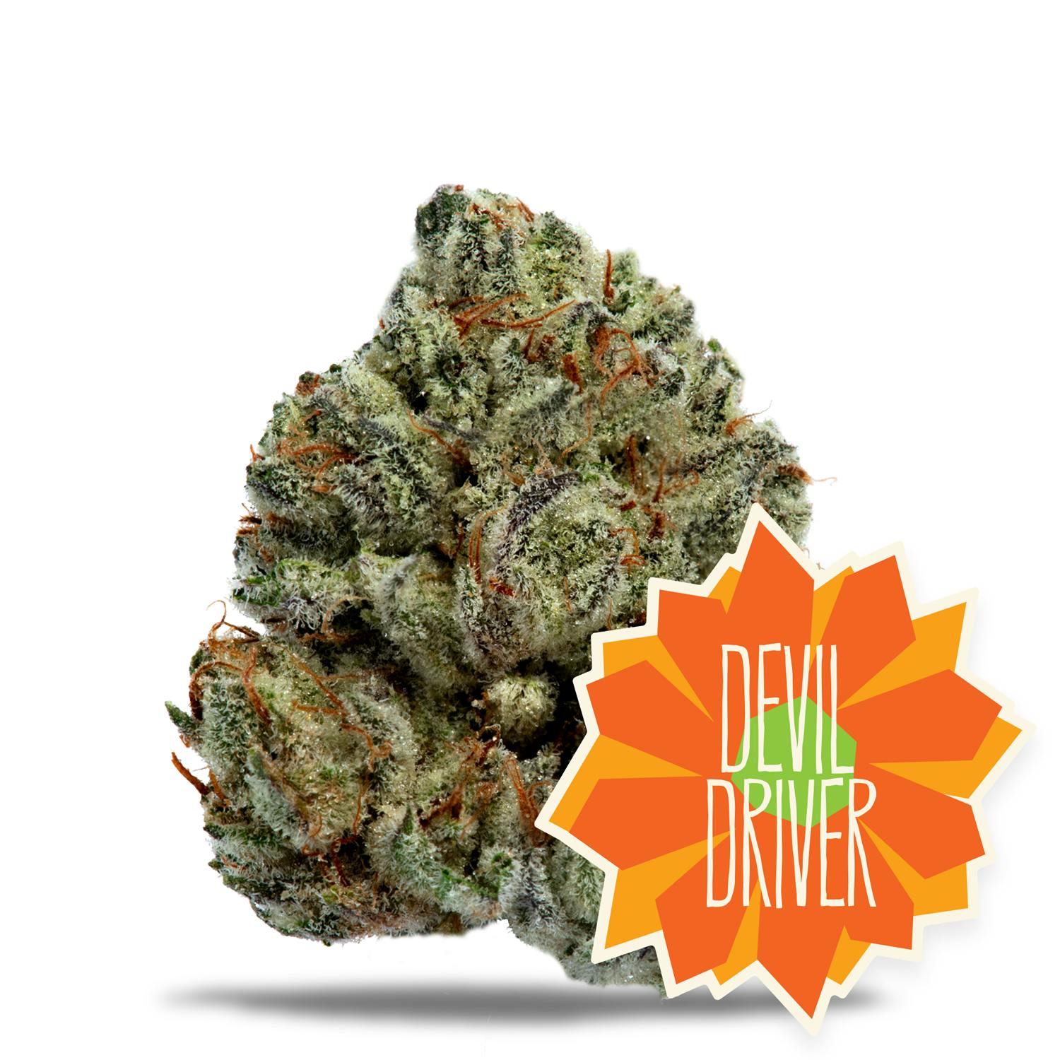 Shop District Cannabis Devil Driver in Hagerstown | DISTRICT