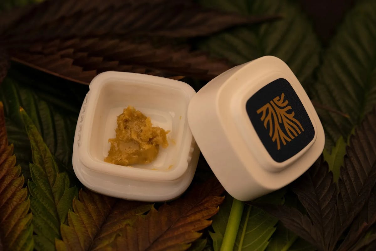 Pura Vida | .5g Live Hash Rosin | .5g Concentrates | Local Roots ...