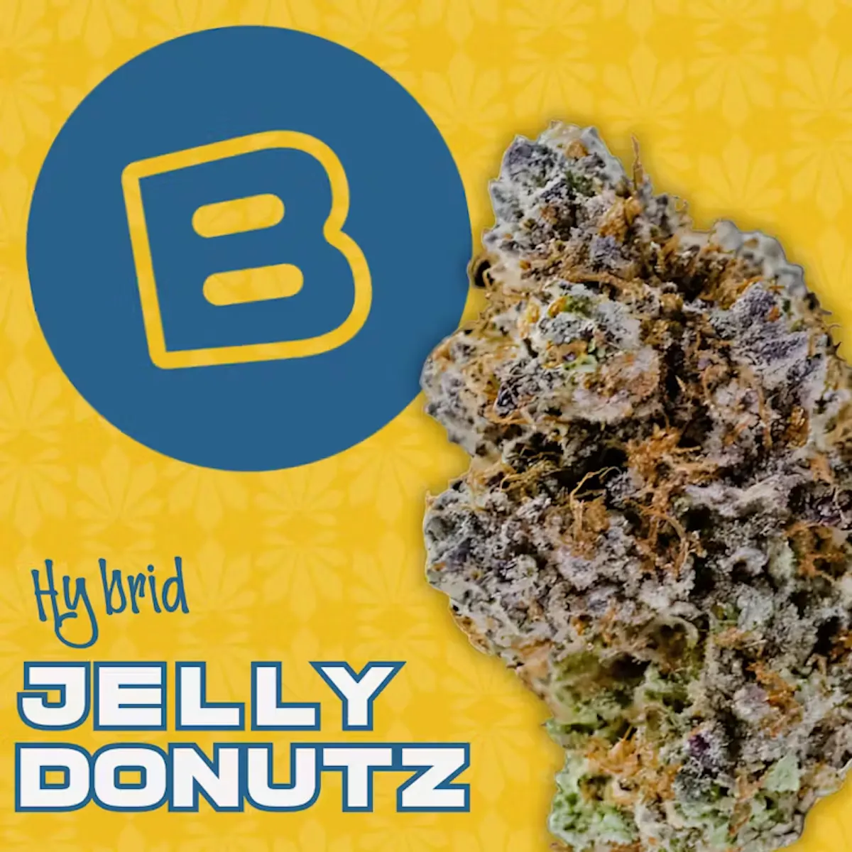 Jelly Donutz (H) [2.83g] 2.83g Flower | Buckeye