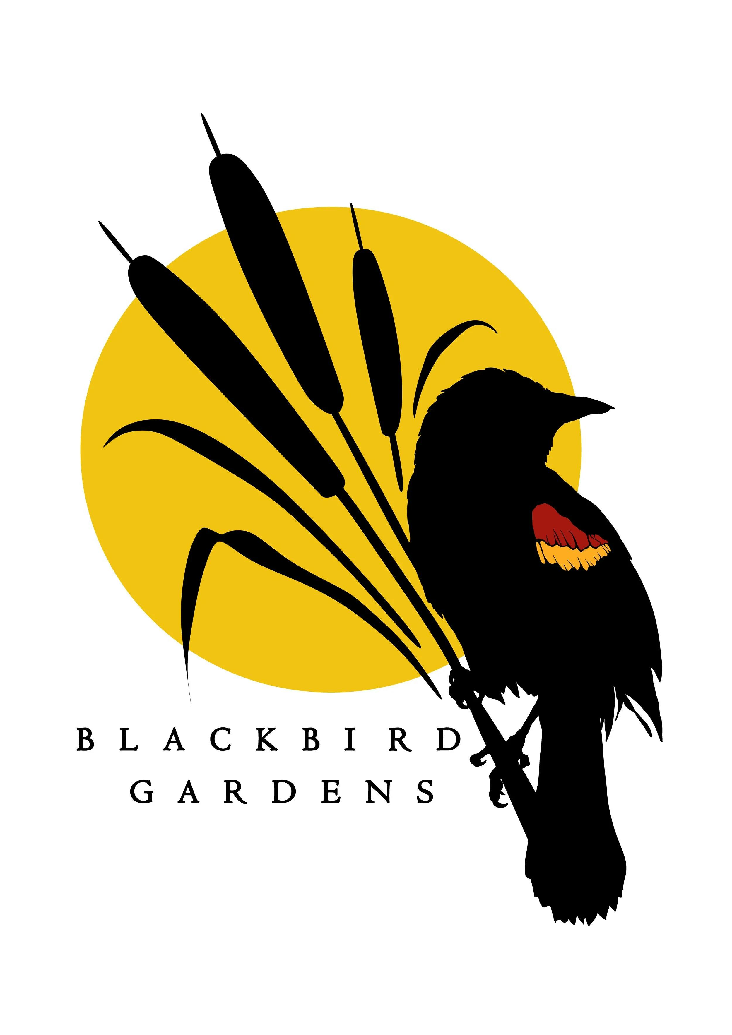 Pine Sap OG | 2pk Pre-rolls | 1g by Blackbird Gardens | Buy Online ...