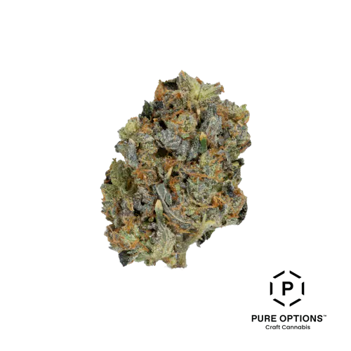 Sherbanger - - BIG BUD • Pure Options