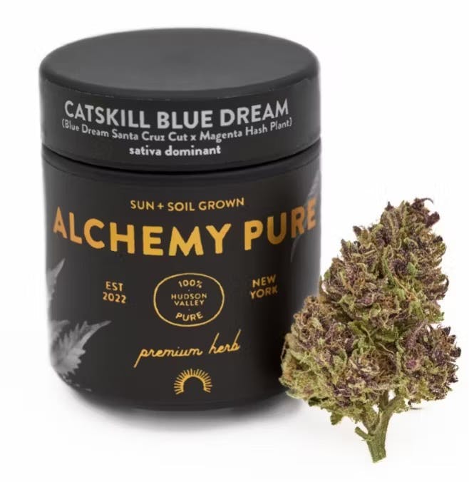 Catskill Blue Dream | Flower | 3.5g - Alchemy Pure | Treehouse Cannabis