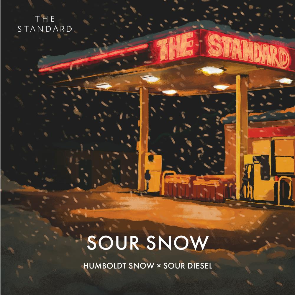 Sour Snow Mini Budz | 14.15g 14.15g Flower | The Solid