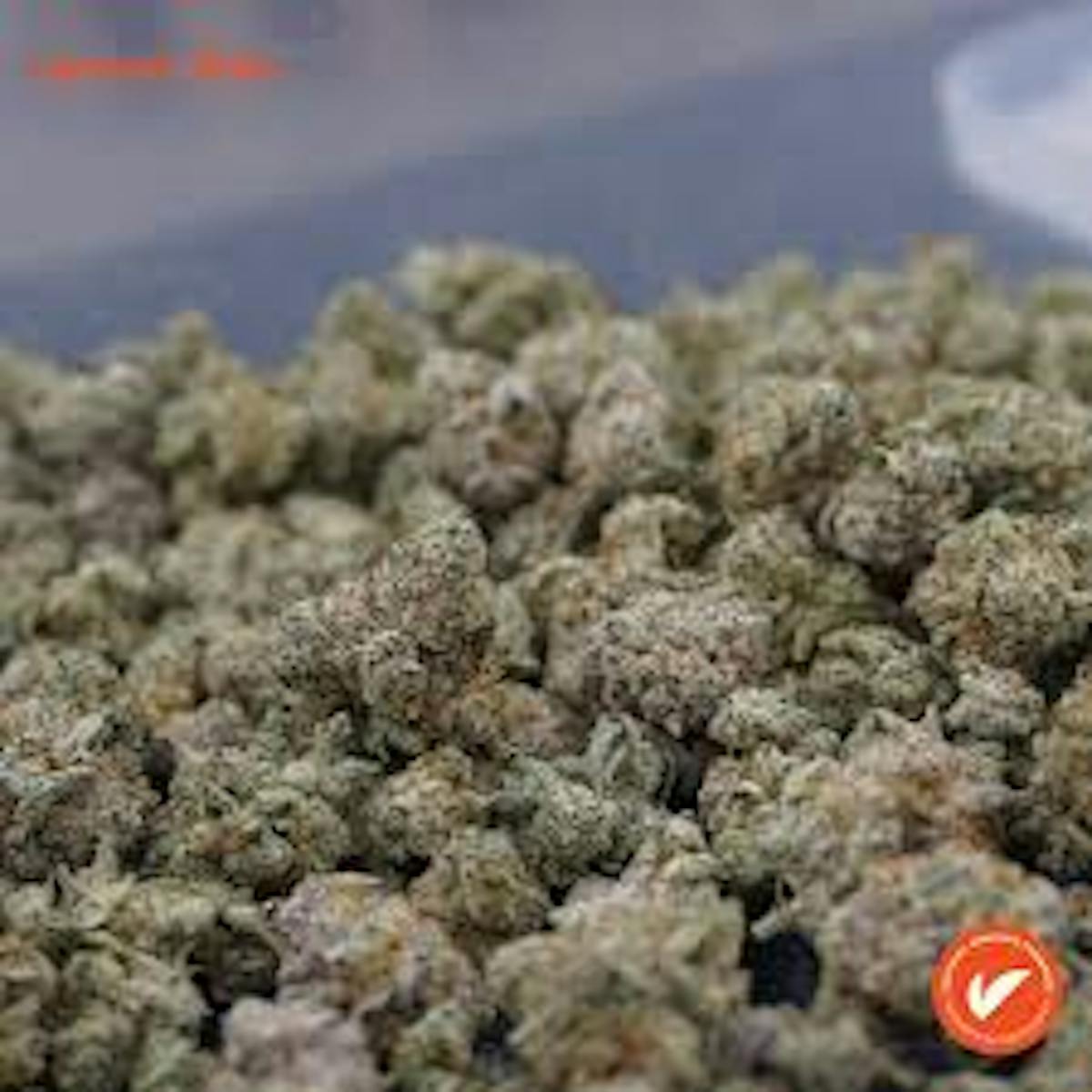 Aloha Limone – Pre-roll 7pk [3.5g] – Vertical 1/8oz Pre-rolls | Vertical