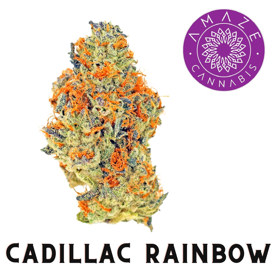 AMAZE Cannabis Cadillac Rainbow Pre-pack | 3.5g - Doobie