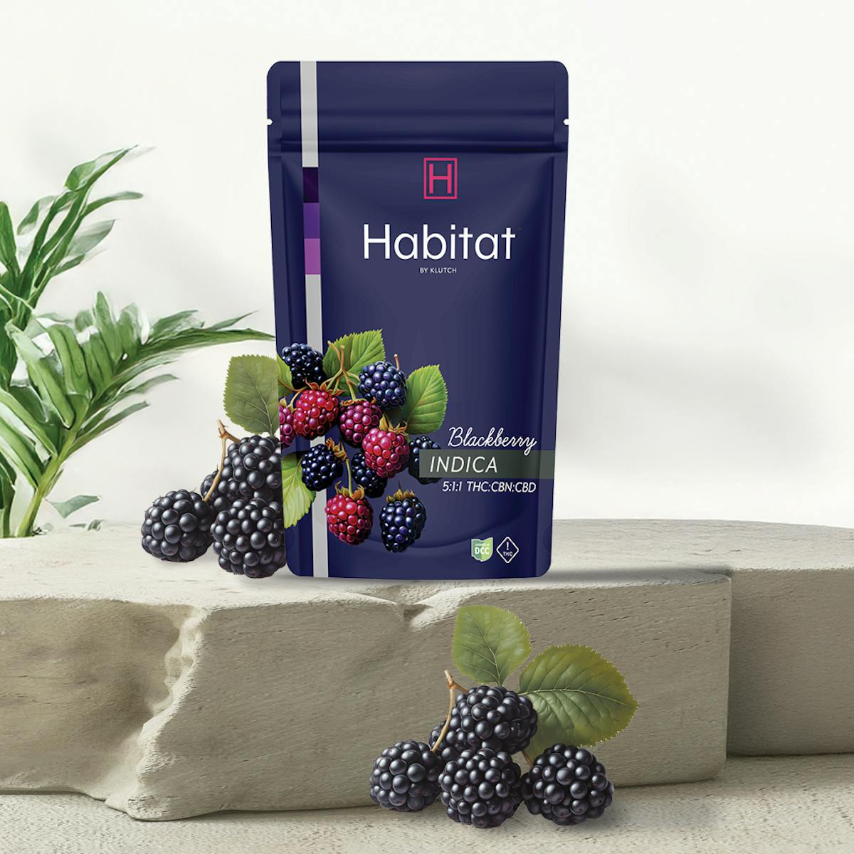 Blackberry 5:1:1 (THC:CBD:CBN) Go Pack Indica Gummies | 4pk Edibles ...