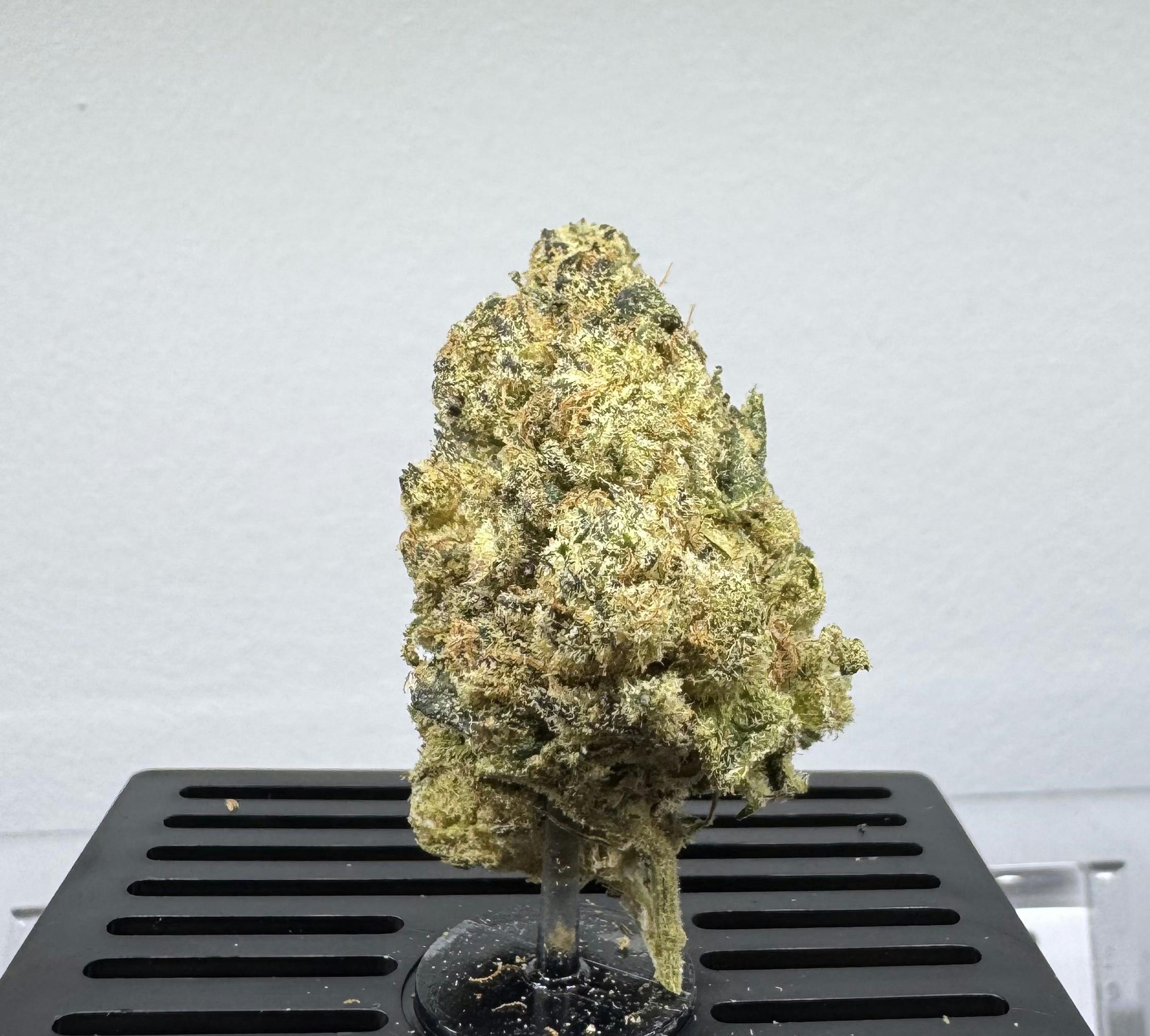 Strawberry Gary | Flower | 3.5g by B5RO Cannabis | Buy Online ...