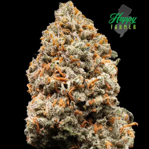 Shop The Happy Farmer | Flower | Green Crack | 3.5g In New Jersey | HASHERY