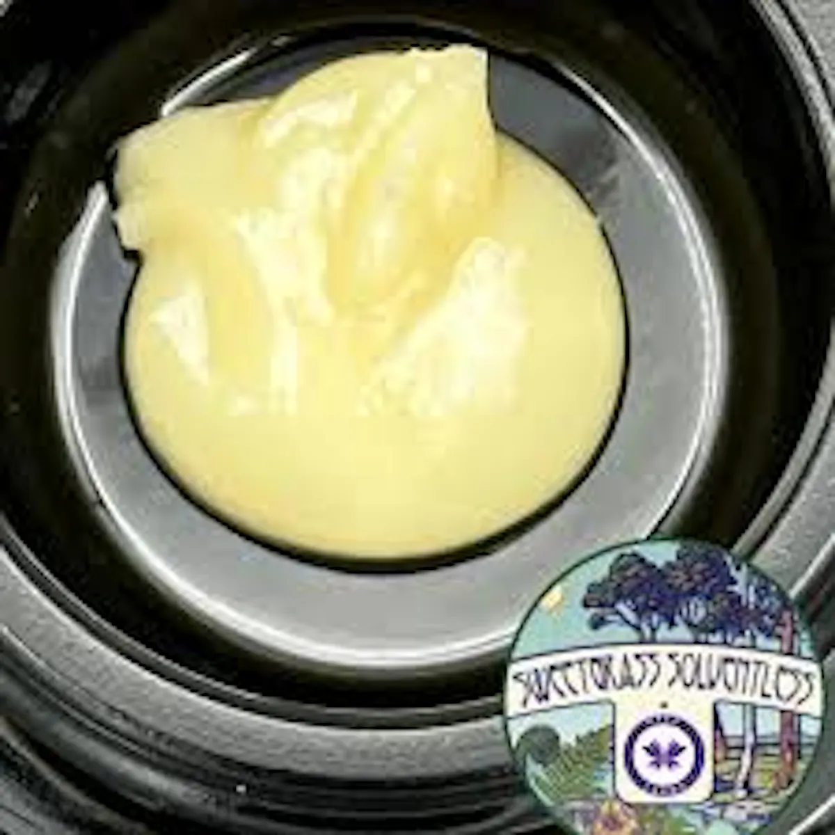 U4EA x Sweetgrass Pie Dough 1g Live Rosin 1g Concentrates | U4EA
