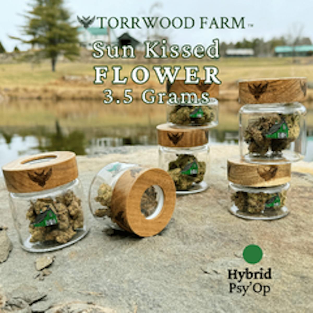 Torrwood Farm Psy-Ops Flower - ZenZest - Torrwood Farm Psy-Ops Flower ...