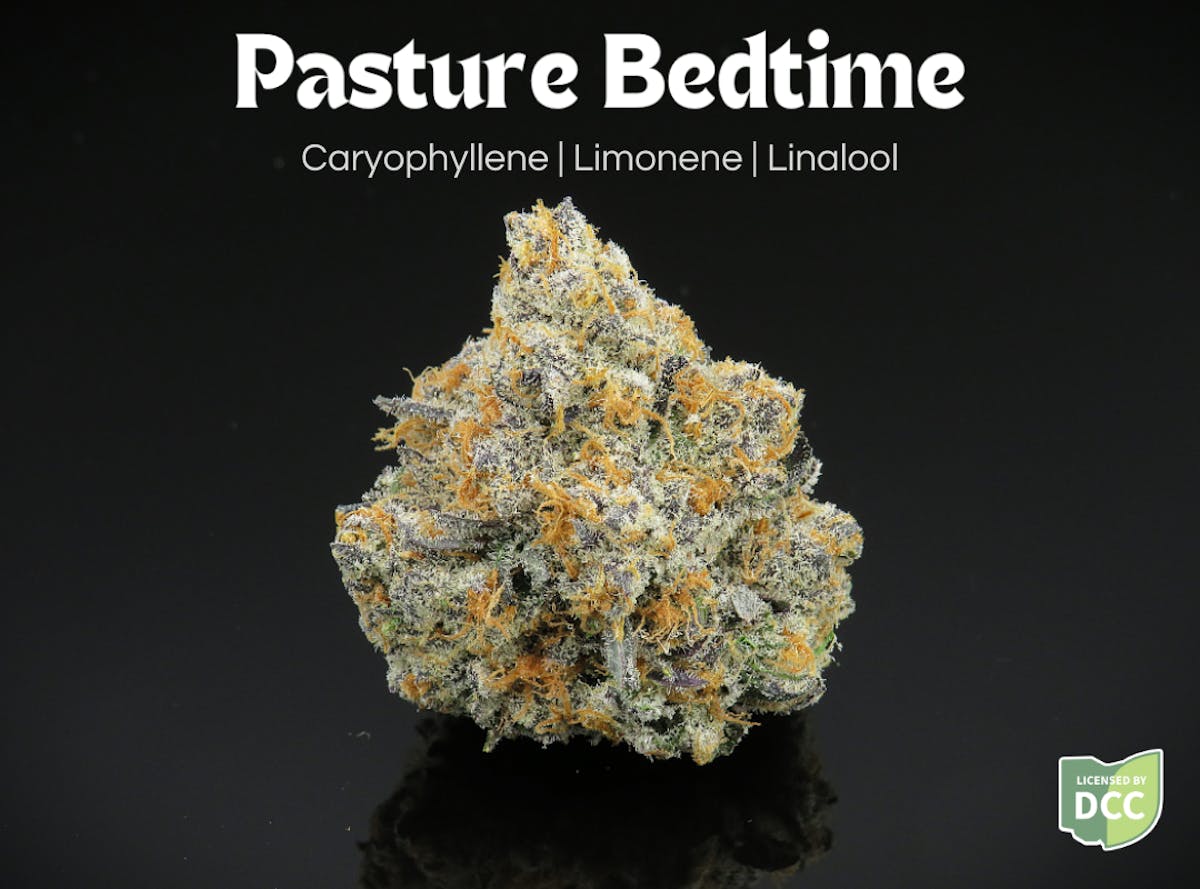 Pasture Bedtime 2.83g Flower | Farkas Farms