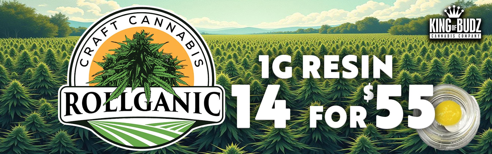 Buy Dat Canna - 1.2g Bubble Hash Infused Preroll - Fruit Smoothie Pre ...