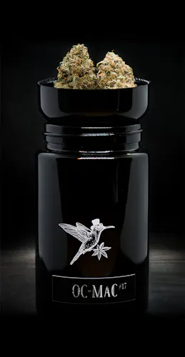 Shop Noble Valley | Flower | OC Mac 17 | 7g In New Jersey | HASHERY