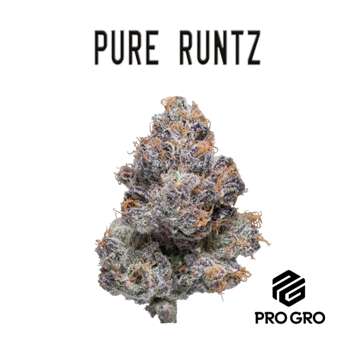 Pure Runtz 3.5g Flower • Pure Options