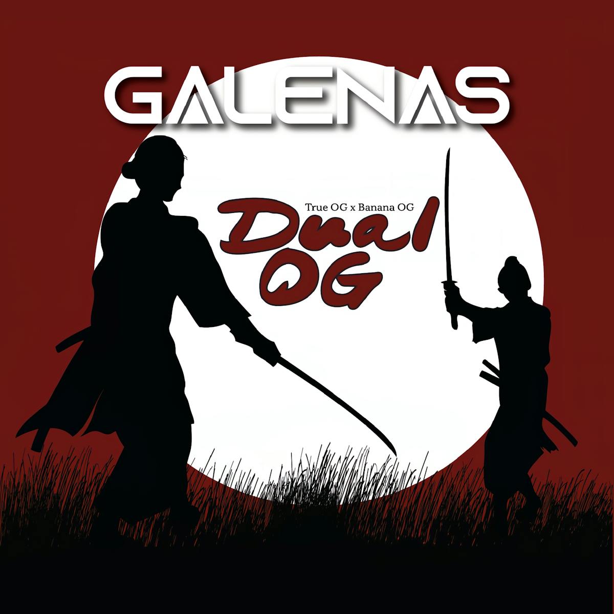 Dual OG | 2.83g 2.83g Flower | Galenas