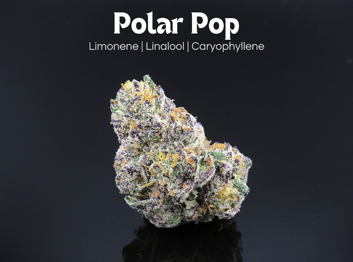 Polar Pop 2.83g Flower | Farkas Farms