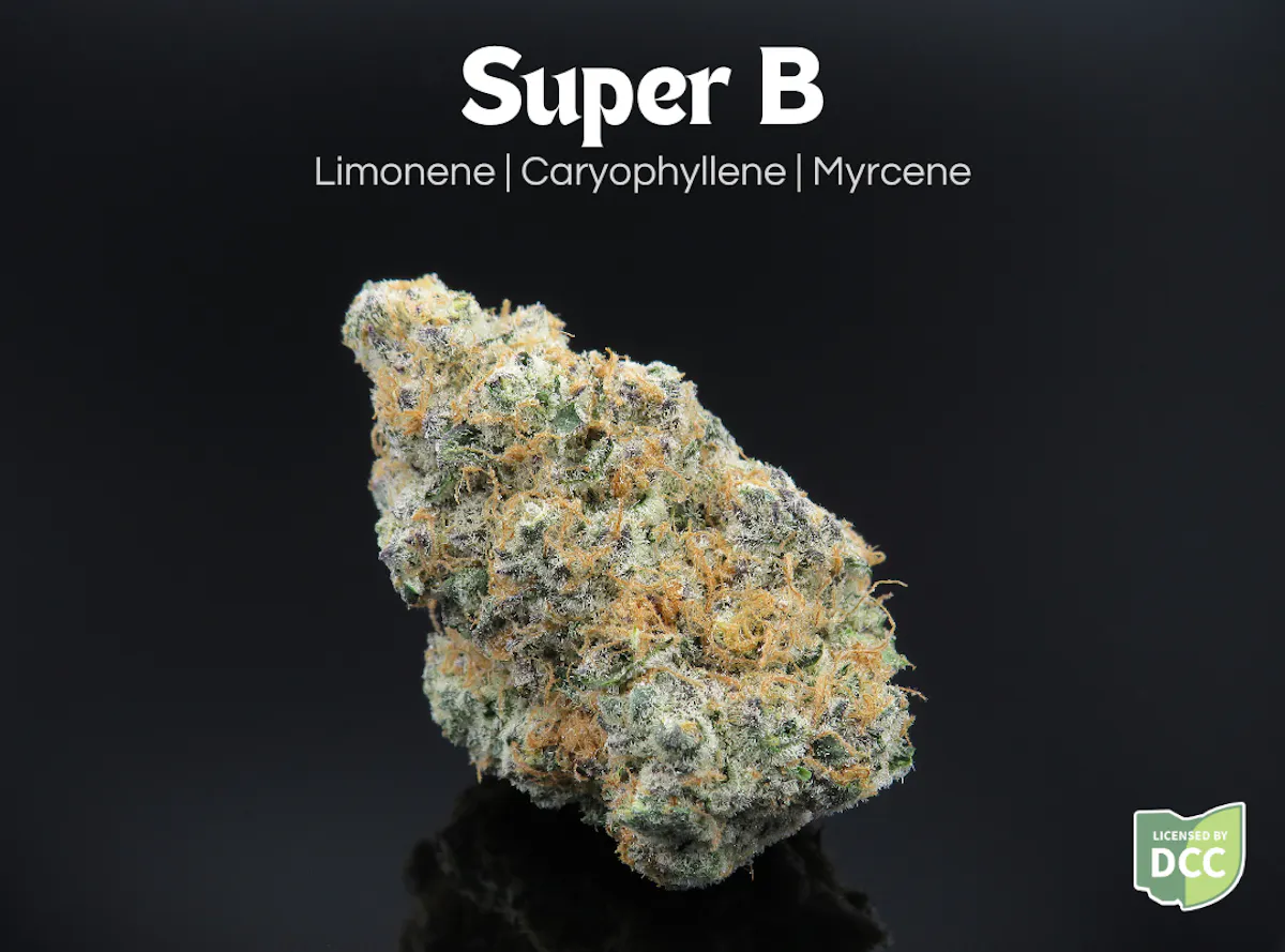 Super B 2.83g Flower | Farkas Farms
