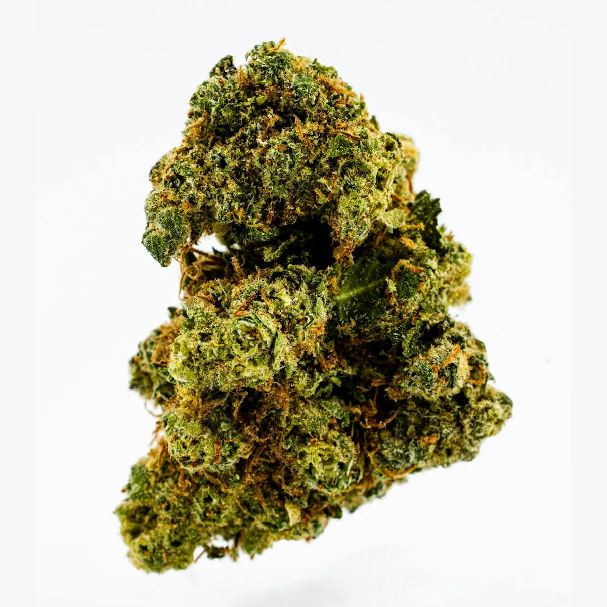 JACK DIESEL - ZenZest - JACK DIESEL Near Me - JACK DIESEL in Staten ...