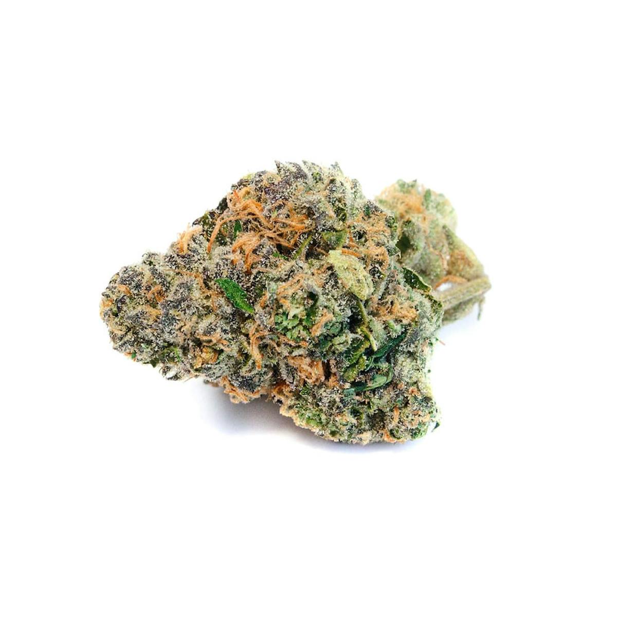 Black Maple #22 | Flower | 1/4oz Flower | Silver Therapeutics | Boston, MA