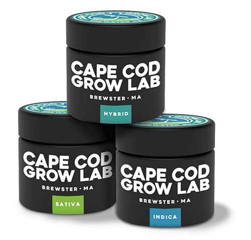 Cape Cod Grow Labs LA Runtz 3.5g 1/8oz Flower | Cape Cod Grow Lab