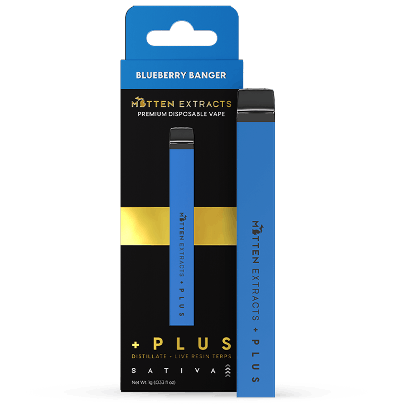 Blueberry banger 1g disposable vape | Skymint Flint