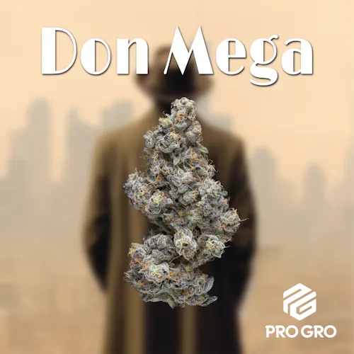 Don Mega Deli • Pure Options