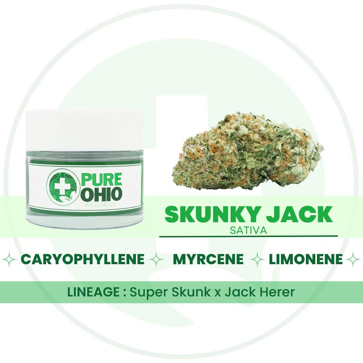 Skunky Jack 2.83g Flower | Pure Ohio Wellness