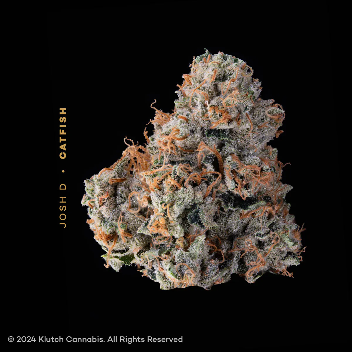 Josh D Catfish Small Buds | 14.15g Flower | Citizen by Klutch