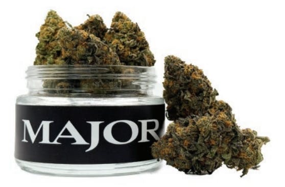 Purple Silk | Flower | 3.5g by Major | Buy Online | Treehouse Cannabis ...