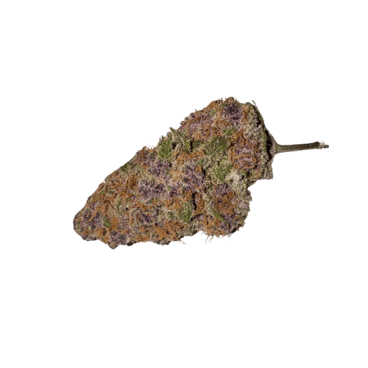 Shop Curio Everyday Iced Lemonade Everyday Flower | 28g in Hagerstown ...