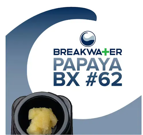 Shop Breakwater | Live Hash Rosin | Papaya BX 62 | 1g In New Jersey ...