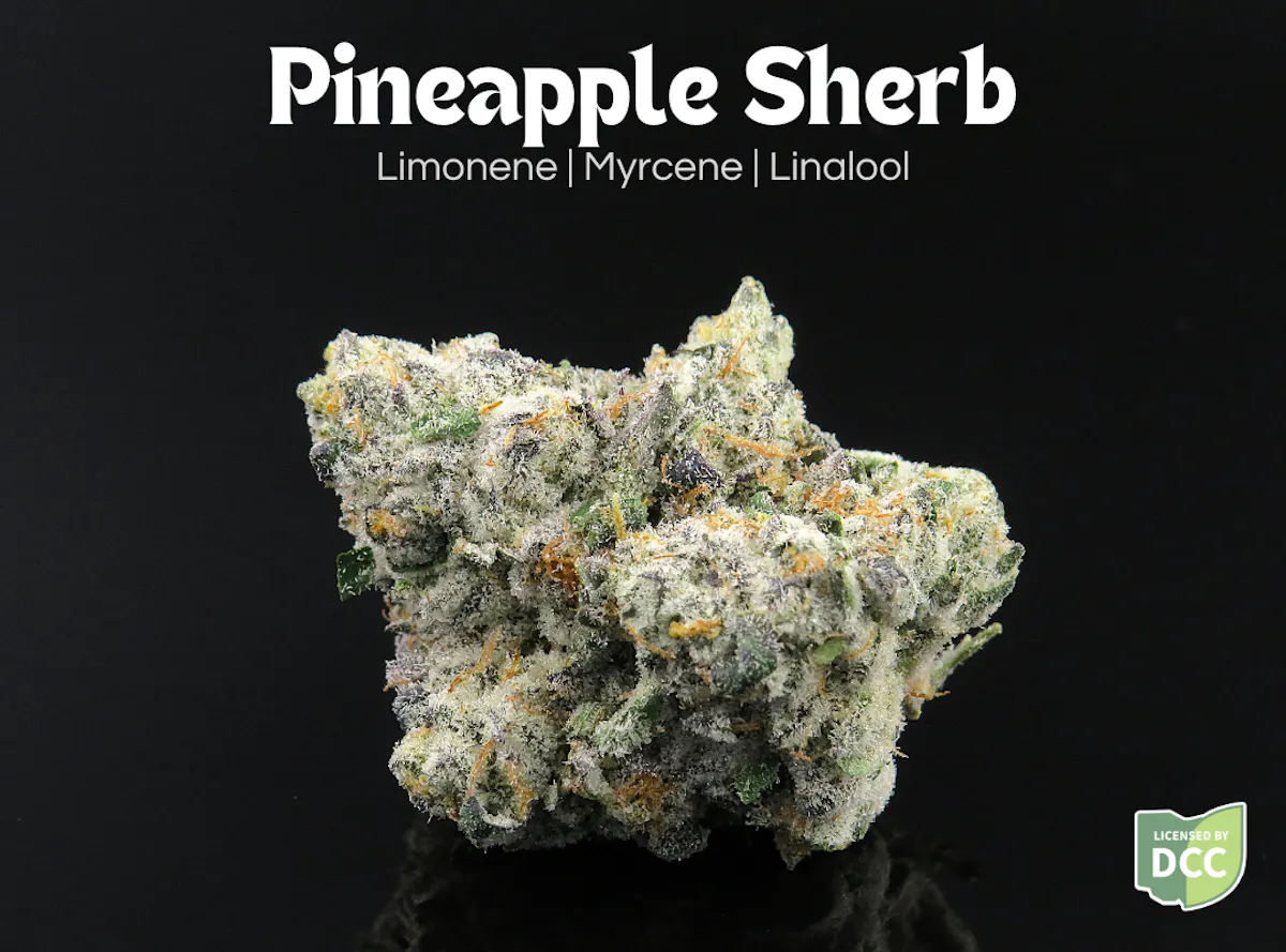 Pineapple Sherb 14.15g Flower | Farkas Farms