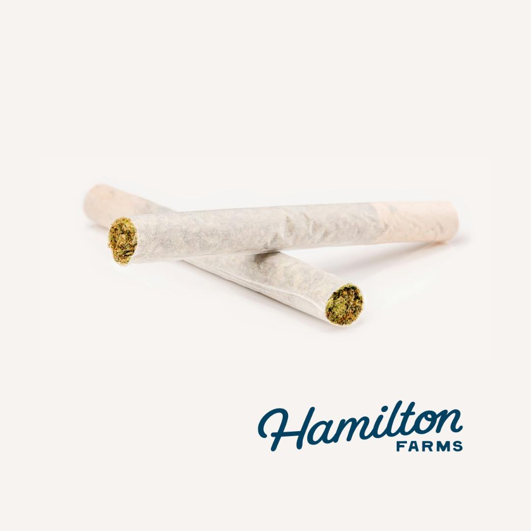 Critical Hog Pre-Roll - Eastern Green Cannabis - Critical Hog Pre-Roll ...