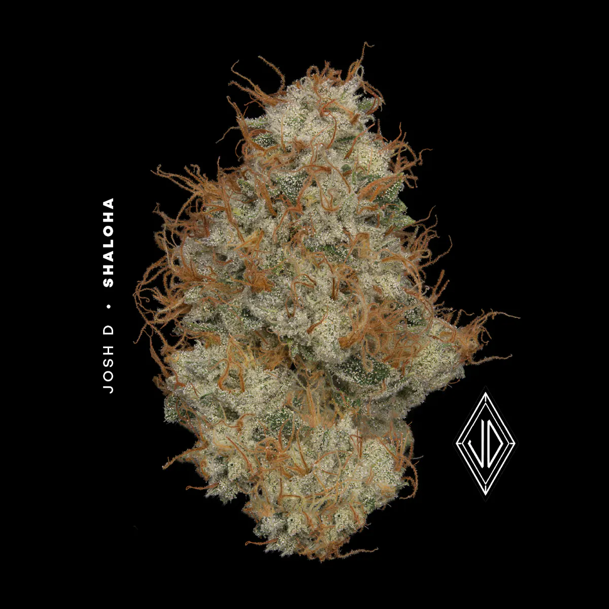 Josh D Shaloha | 2.83g Flower | Josh D
