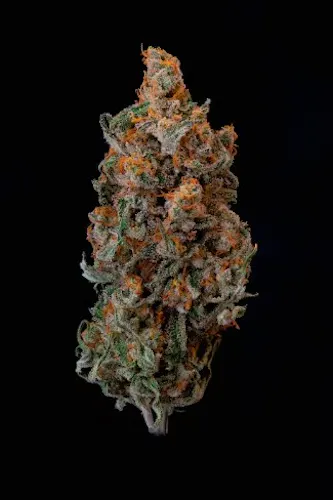 Dank Skunk Weed Tilray THC18 Spotlight Porto Island Sweet Skunk