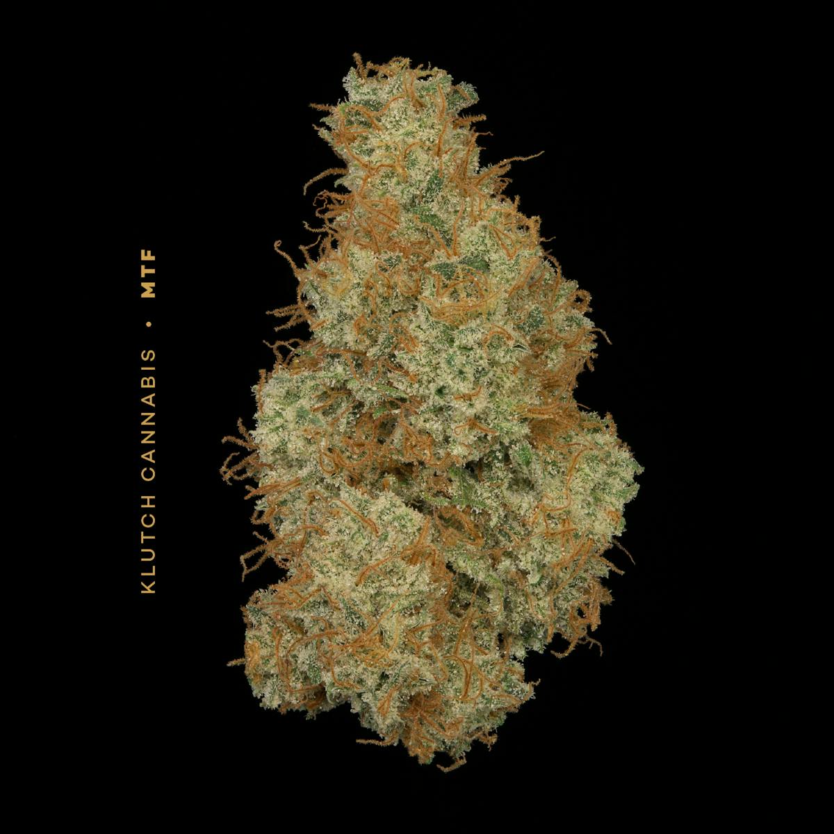 MTF | 2.83g Flower | Klutch