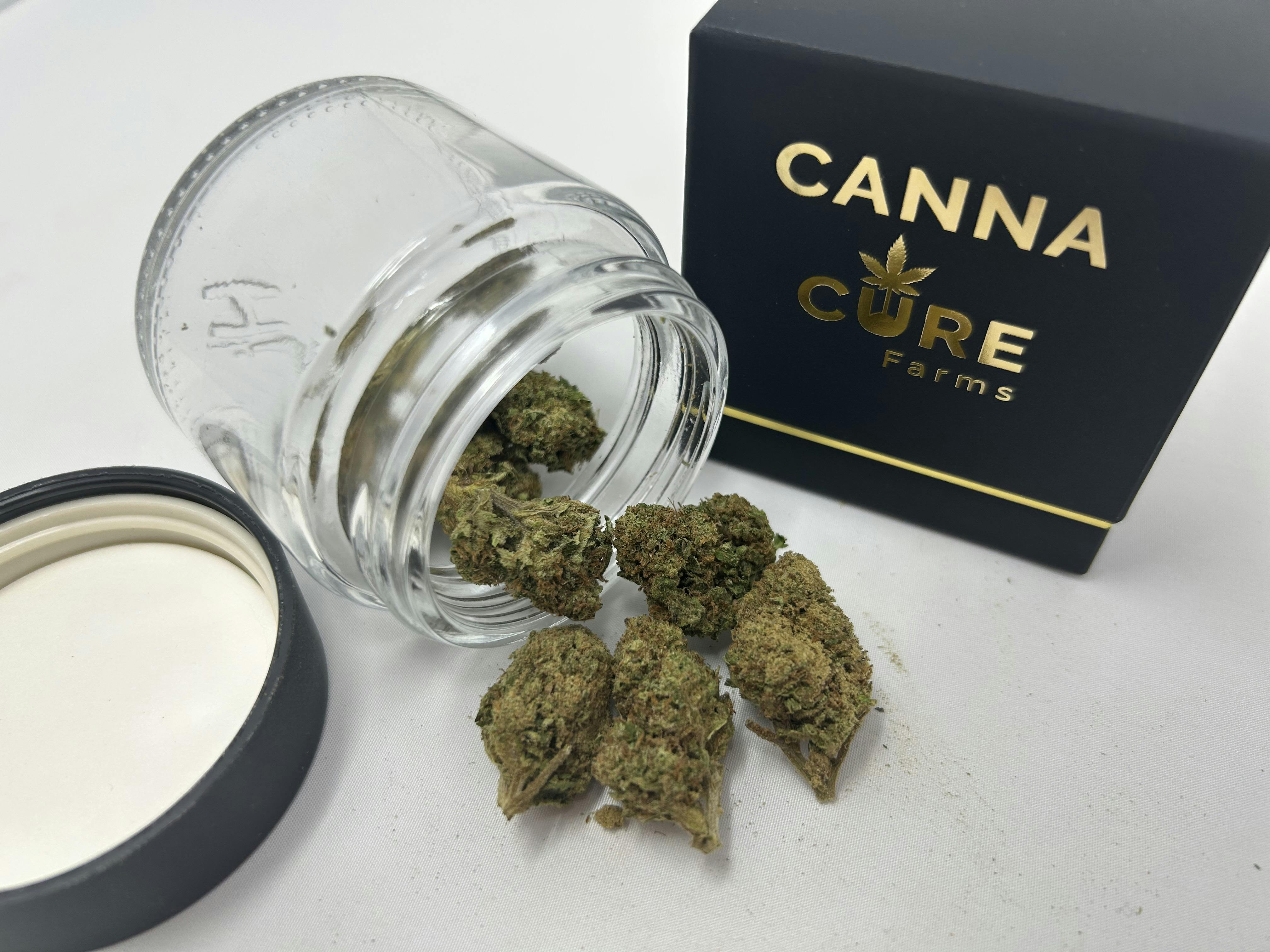 Bee Jelly | Flower | 3.5g by Canna Cure | Buy Online | Treehouse Cannabis