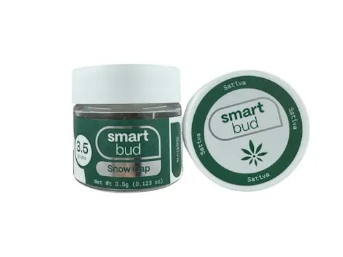 The Flowery NY | Premium Cannabis Dispensary & Same-Day Delivery